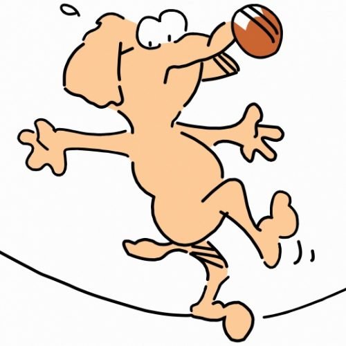 What is stability - and why does it matter for your health