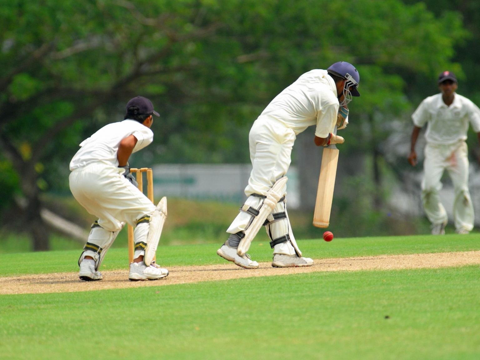 Common Cricket Injuries - And the best ways to avoid them - Perea Clinic