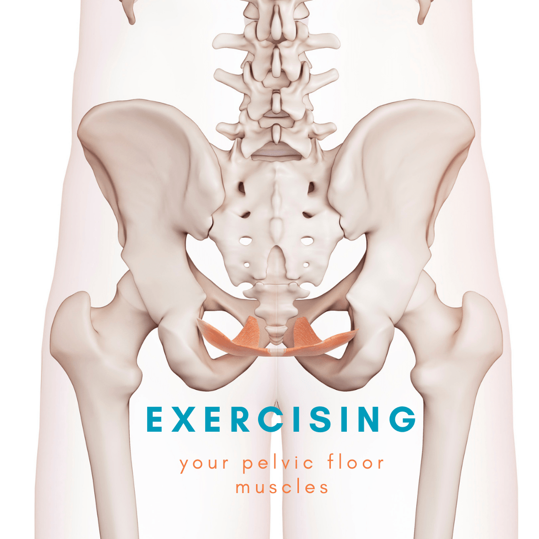 Exercising Your Pelvic Floor Pregnancy Incontinence Exercising Your Pelvic Floor Pregnancy Incontinence